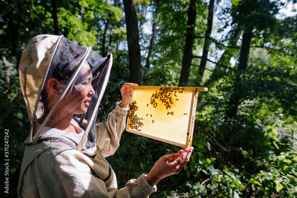 Female beekeeper checking her bee hive for bees and honey. Stock Photo ...