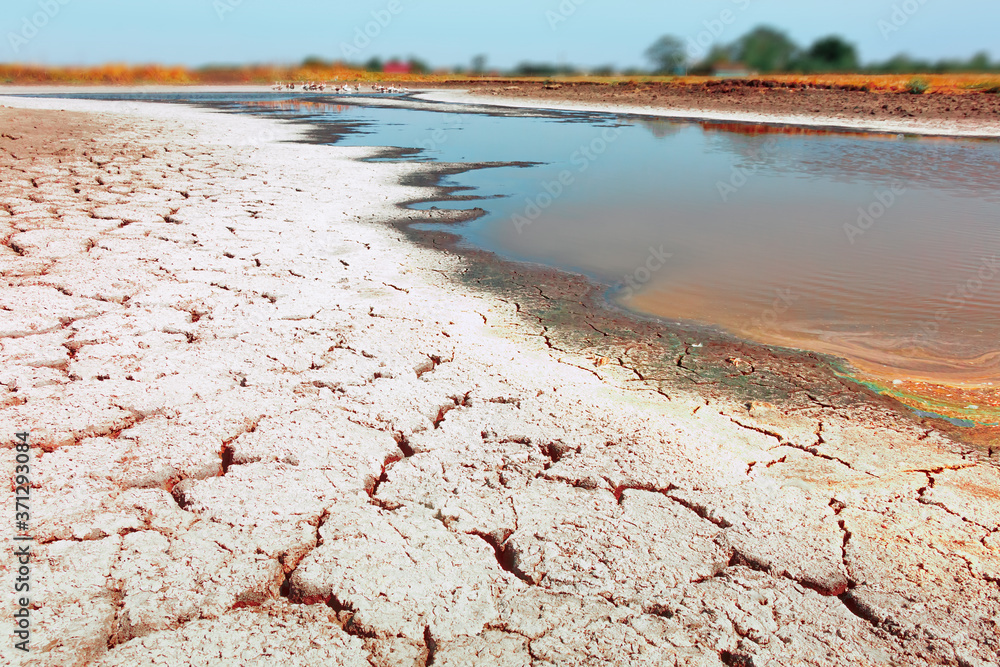 The drought, the dried-up pond, the cracked and salted earth, the ...