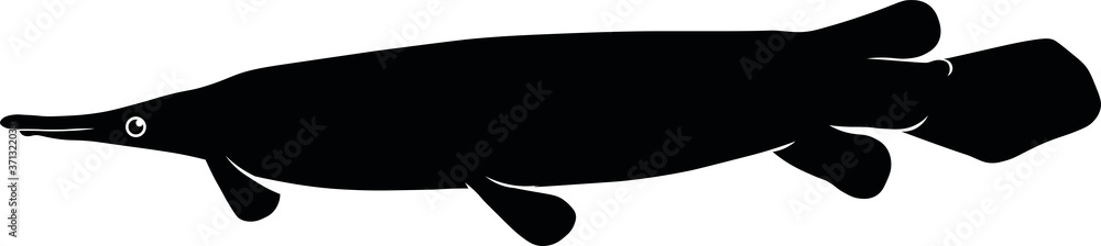 Gar Stock Vector | Adobe Stock