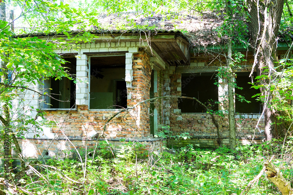 Abandoned city Chernobyl radioactive contamination. Overgrown trees and ...