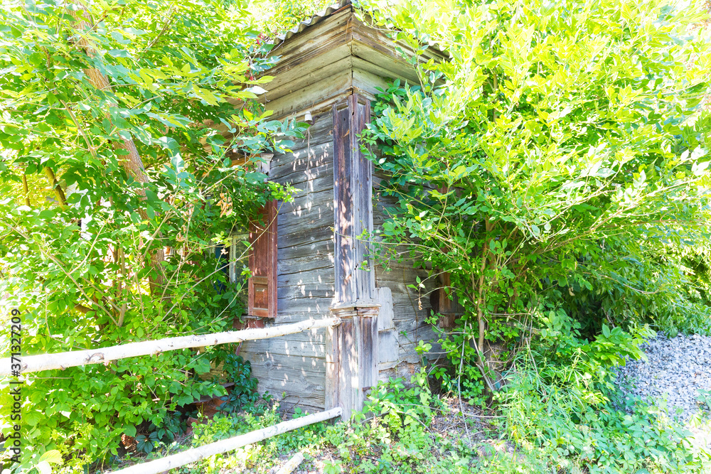 Abandoned city Chernobyl radioactive contamination. Overgrown trees and ...
