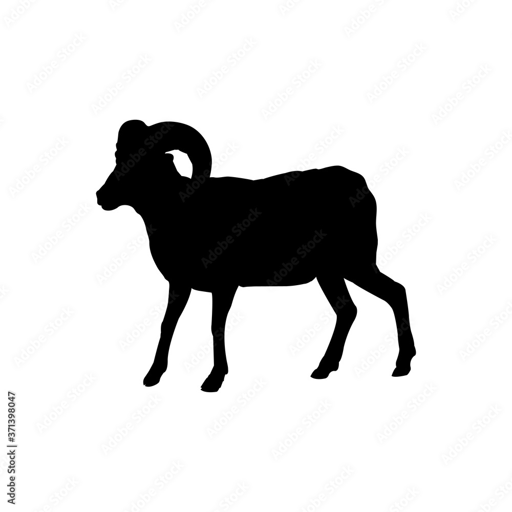 Silueta de borrego cimarrón en color negro Stock Vector | Adobe Stock
