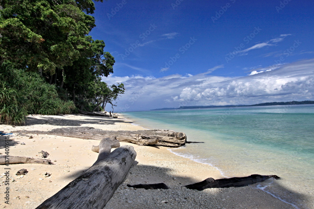View of the Coast of Neil Island. Andaman and Nicobar Islands. India ...