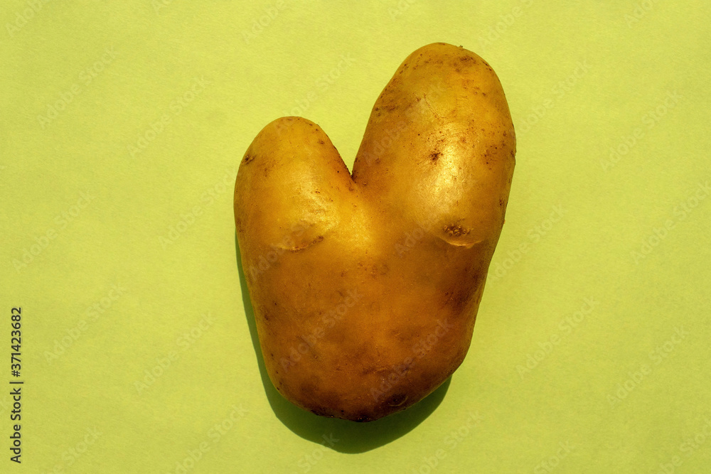 Wonky, funny, ugly vegetable or food waste concept. Ugly potato in ...