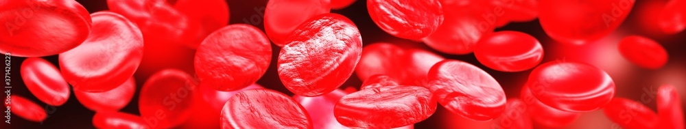 Red blood cells, red blood corpuscles, haematids, erythroid cells or ...