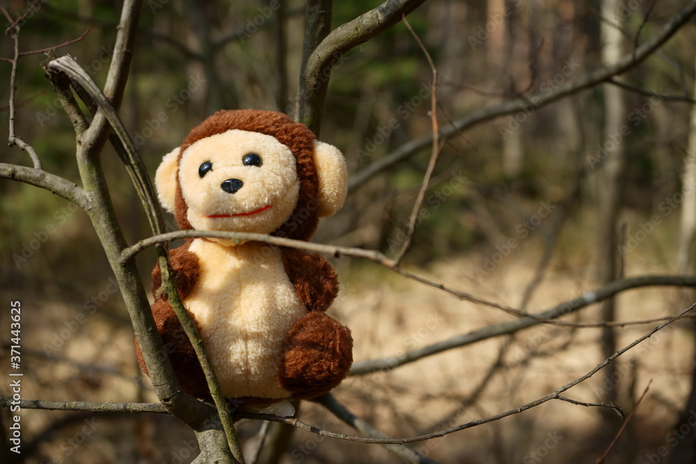 małpka ,maskotka , pandemia Stock Photo | Adobe Stock