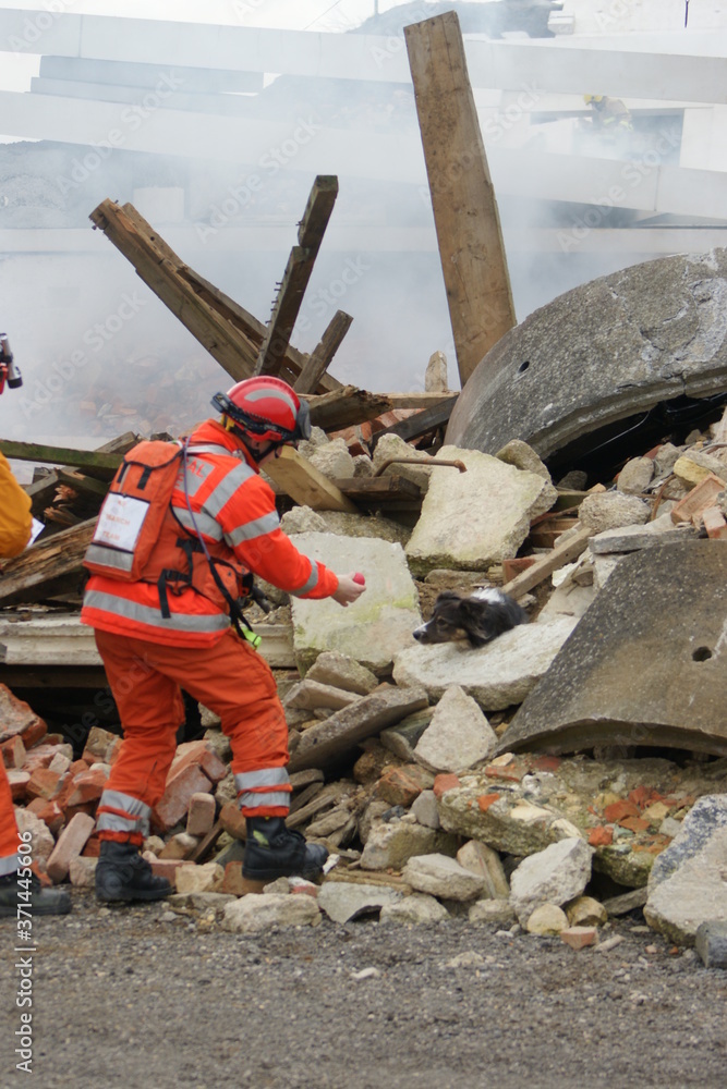 building collapses, disaster zone, Search and rescue dog Stock Photo ...
