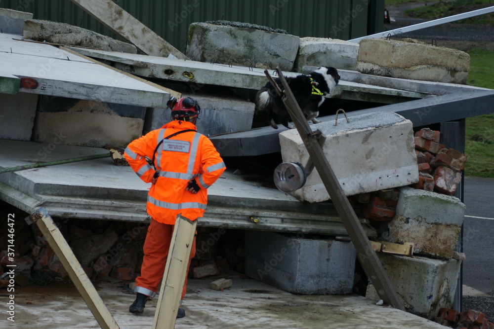 Building collapses, urban search and rescue, disaster zone Stock Photo ...
