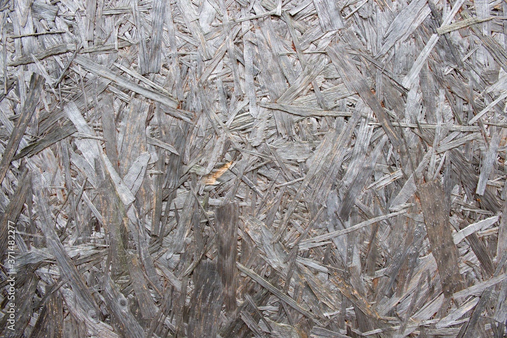 Texture of Oriented Strand Board (OSB). Versatile waterproof structural ...