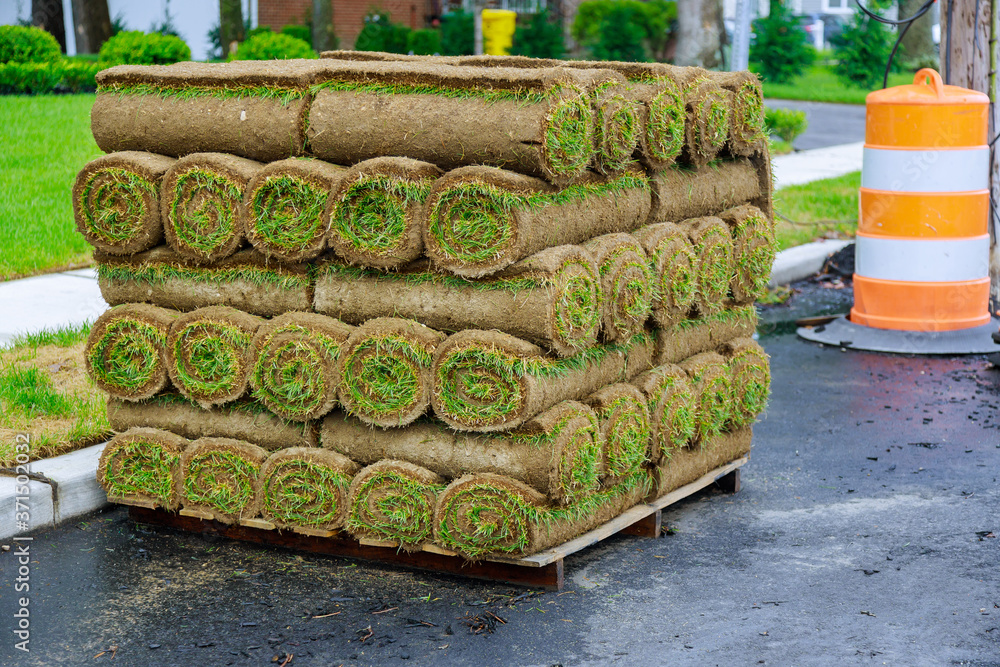 Stack of turf grass rolls for a lawn fresh grass to decorate landscape ...