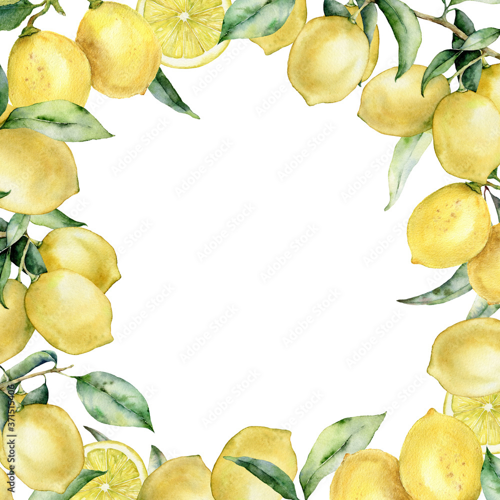 Watercolor tropical border with lemon and leaves. Hand painted exotic ...