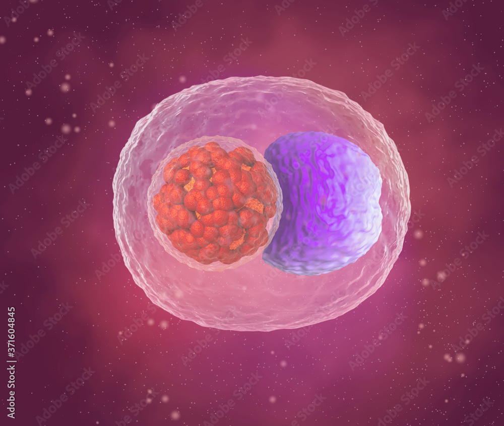 Abstract medical background, chlamydia bacteria under microscope ...