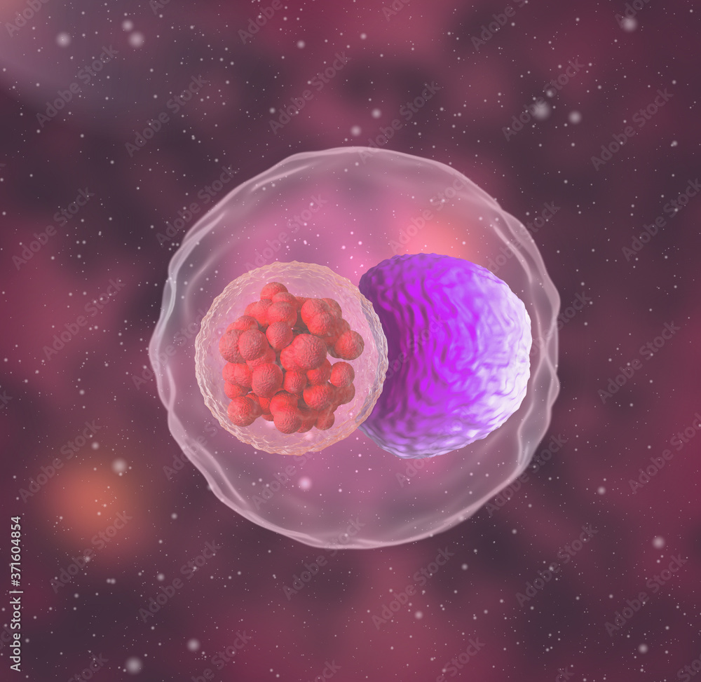 Abstract medical background, chlamydia bacteria under microscope ...