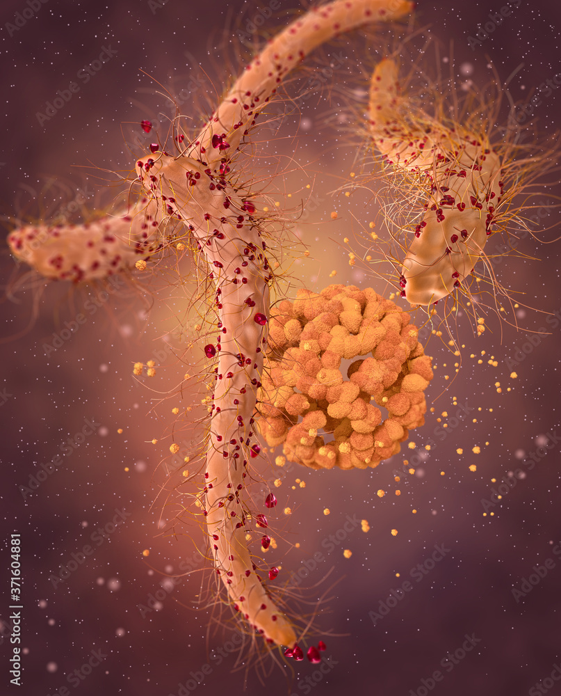 Dangerous pathogenic bacteria Escherichia coli, colibacillus, pathogen ...