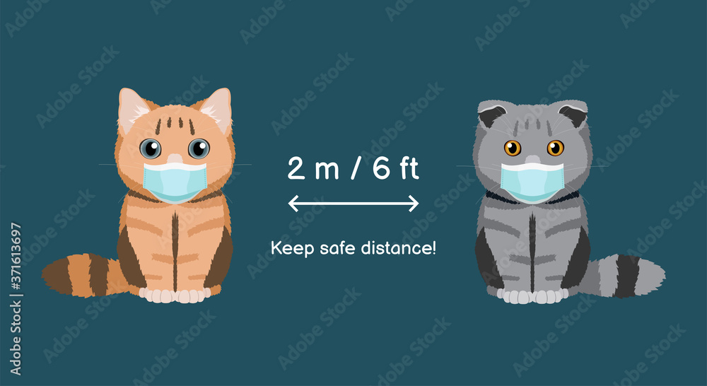 Keep safe distance two meters or six feets. Coronavirus infection ...