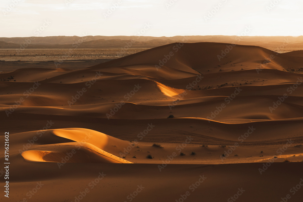Sahara desert landscape with sand dunes in beautiful warm sunset light ...