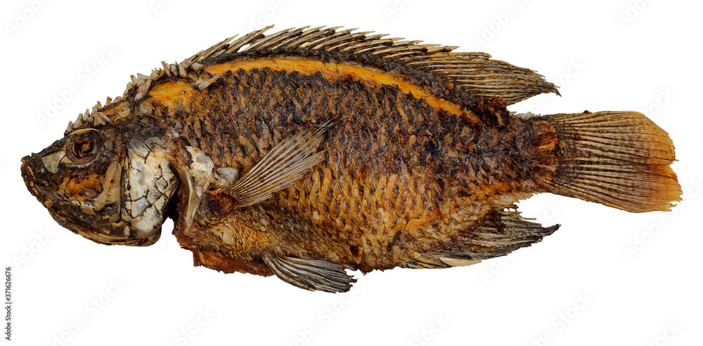 Fried tilapia fish from Tiberias Lake (the Sea of Galilee, Gennesaret ...