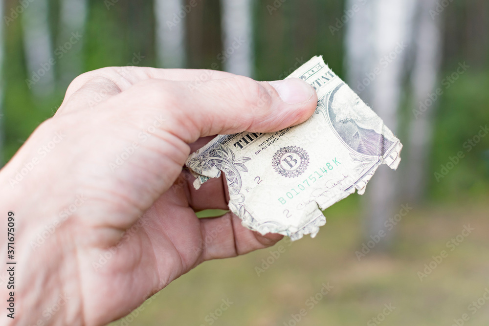 Torn half of a dollar bill in your hand Stock Photo | Adobe Stock