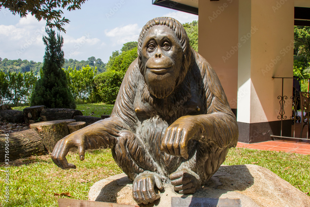The bronze statue in memory of Ah Meng, a very famous female Sumatran orangutan (Pongo abelii ...