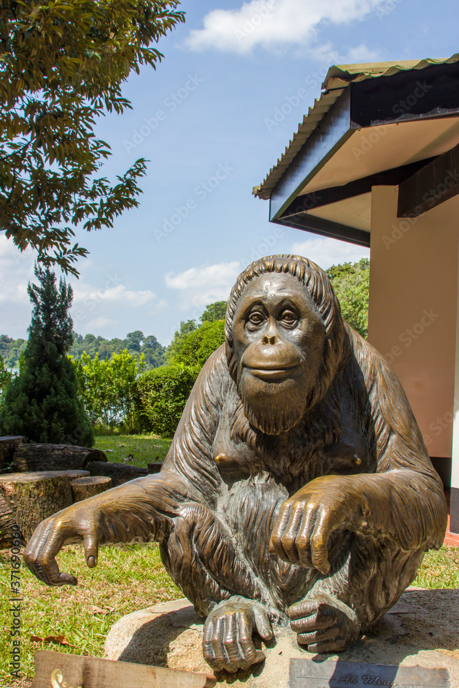 The bronze statue in memory of Ah Meng, a very famous female Sumatran ...
