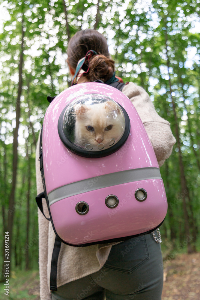 Girl walking with her cat and carrying white furry kitten in the cat ...