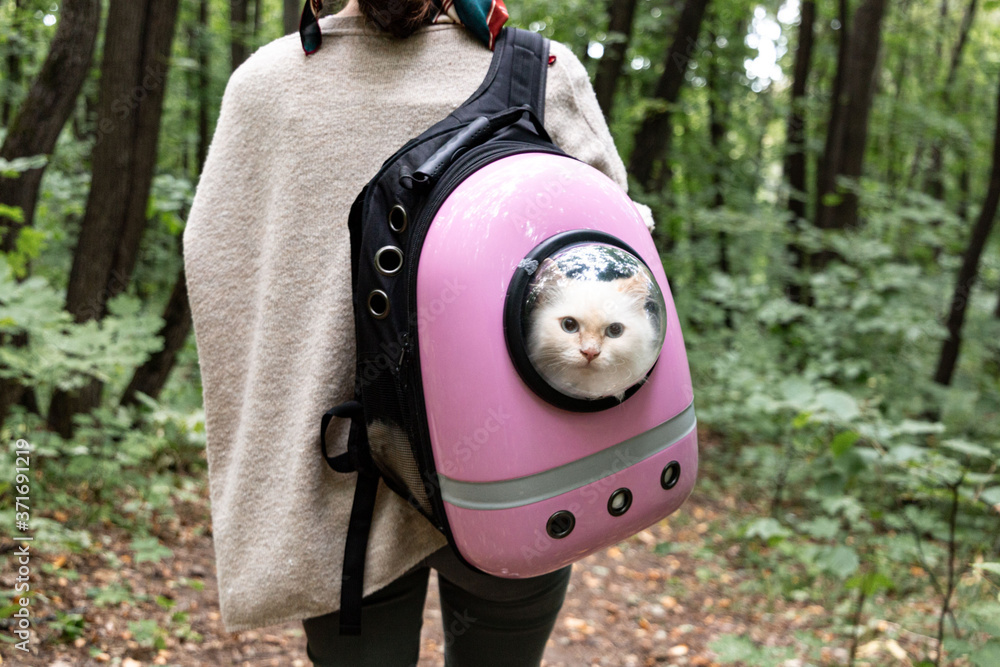 Girl holding cat packed in pink cat backpack with transparent window ...