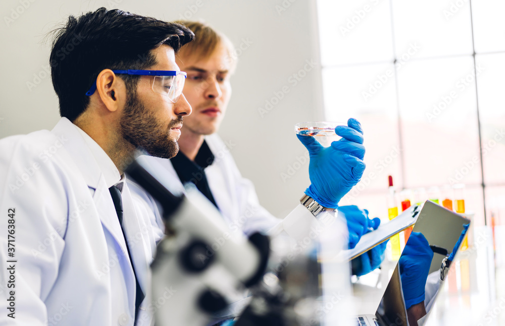 Professional two scientist man research and working doing a chemical ...