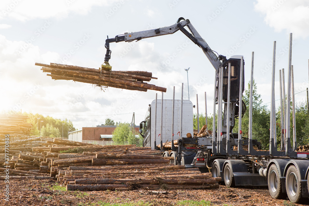 Loading of timber on railway carriages. Loader in work Stock Photo ...