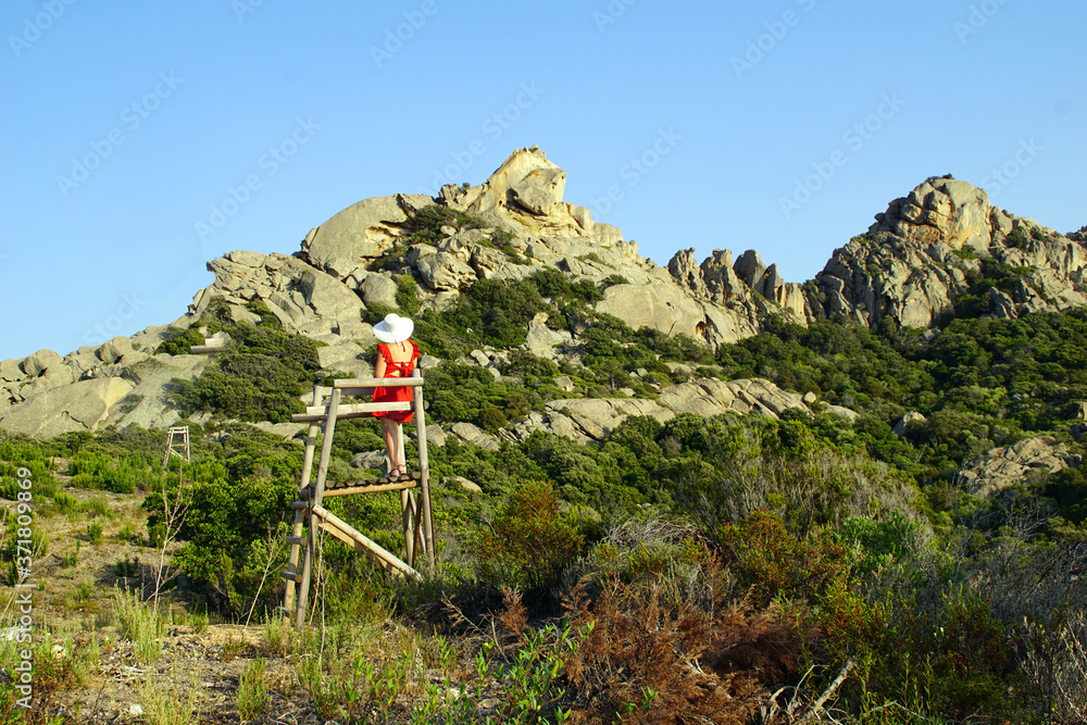 Mirador dans la nature avec une fille en rouge qui regarde le lion de ...