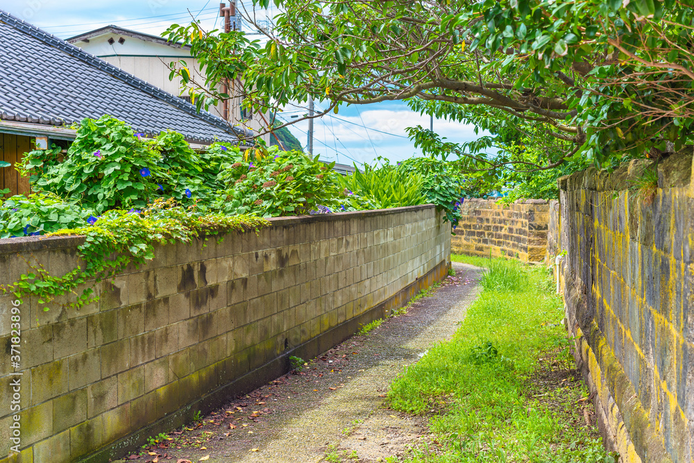 Narrow path overgrown with weeds between cinder block walls covered ...