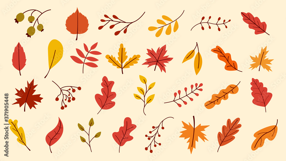 Autumn Leaves Set, Vector Illustration, Autumn leaves or fall foliage ...