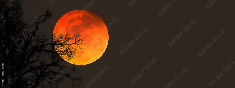 Blood Moon on Halloween night.Image of blood moon with silhouette ...