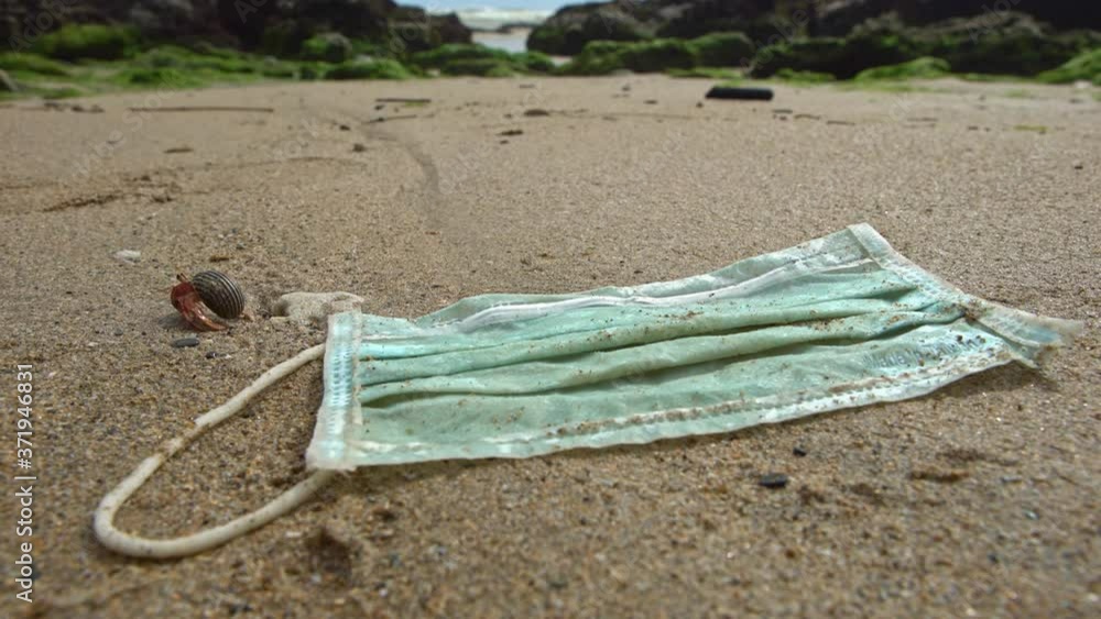 4K, coronavirus polluting the environment. Hermit crab with old used ...