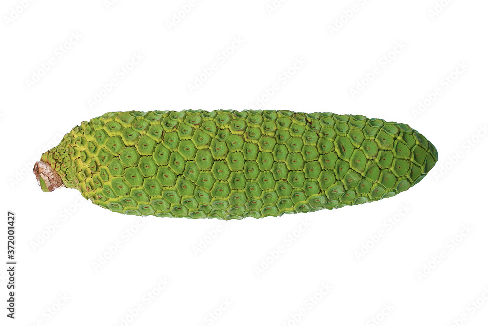 Ananasbanane, Exotische Frucht der Monstera Deliciosa Pflanze ...