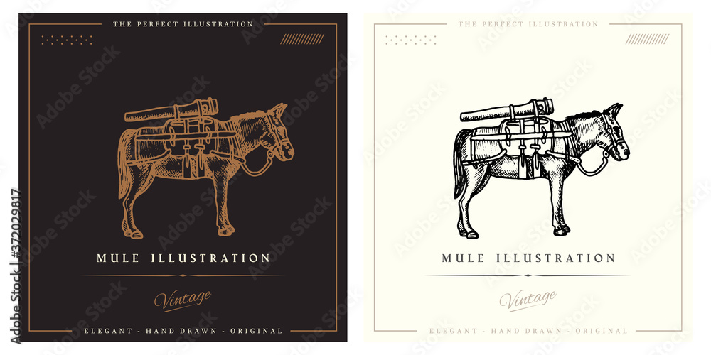 Mule vintage vector illustration for logo Stock Vector | Adobe Stock