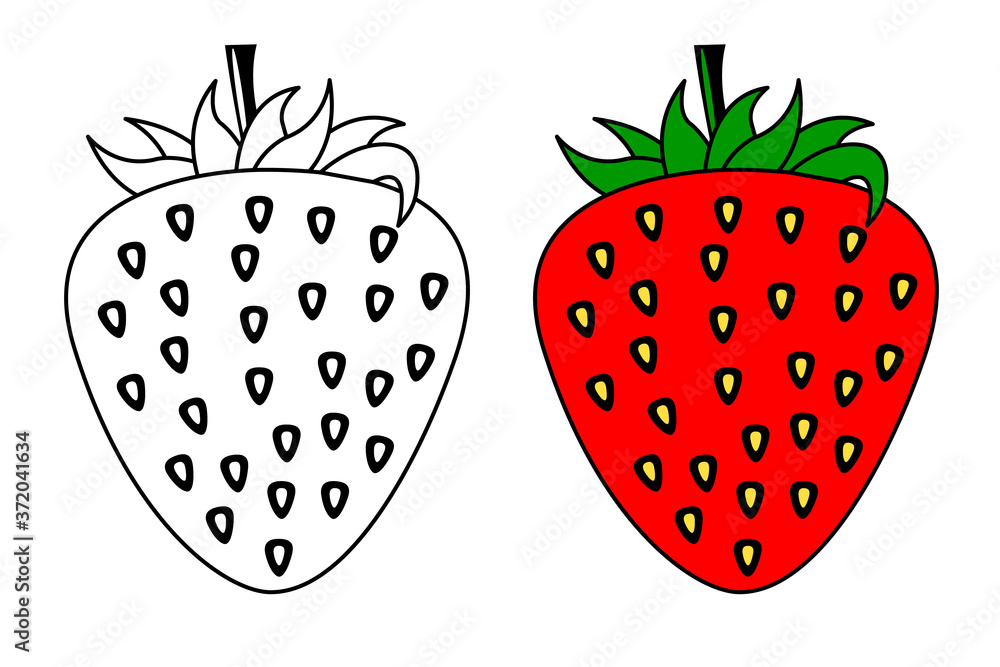 Vector drawing of strawberry for coloring isolated on white background ...