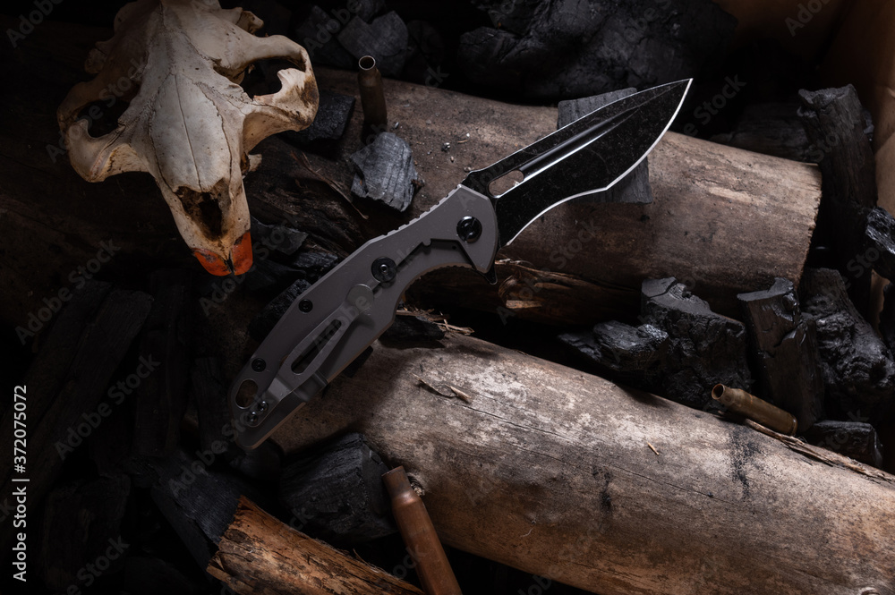 Army folding knife and animal skull. Photo of a knife in a low key with ...