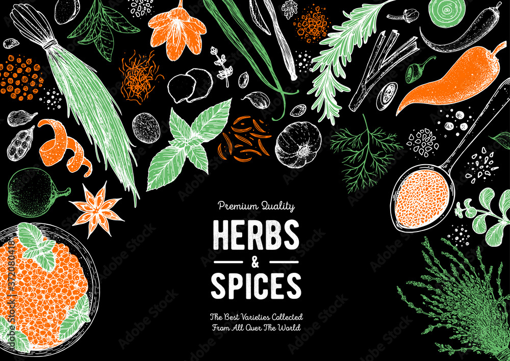 Herbs and spices hand drawn vector illustration. Aromatic plants. Hand ...