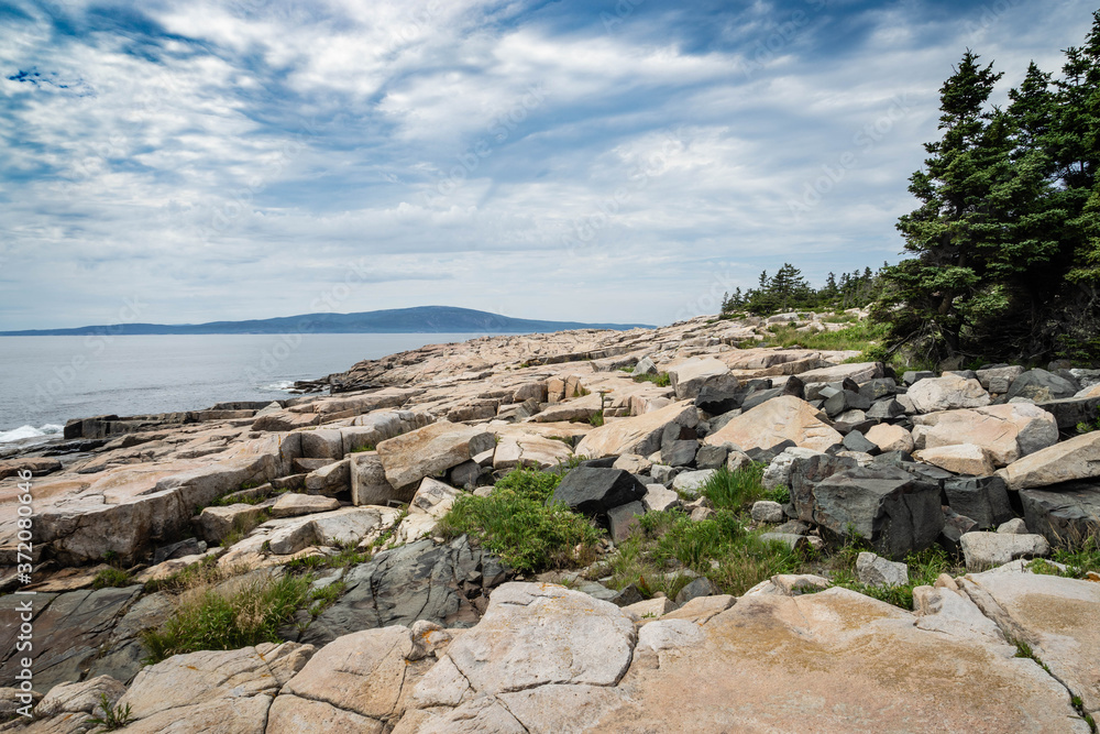 Schoodic Point in Acadia National Park in Maine Stock Photo | Adobe Stock