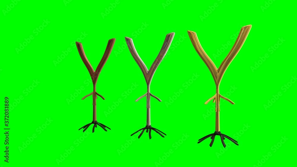 Animated rotating around gold, silver and bronze trophy with V for ...