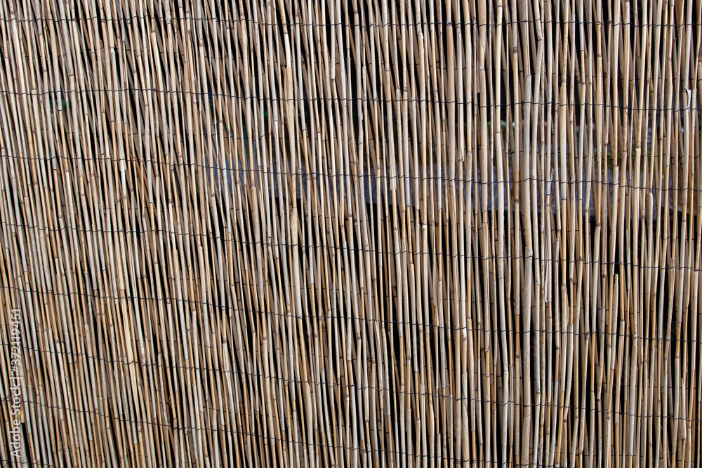 wooden fence the textures of the background of the reed fence is yellow ...