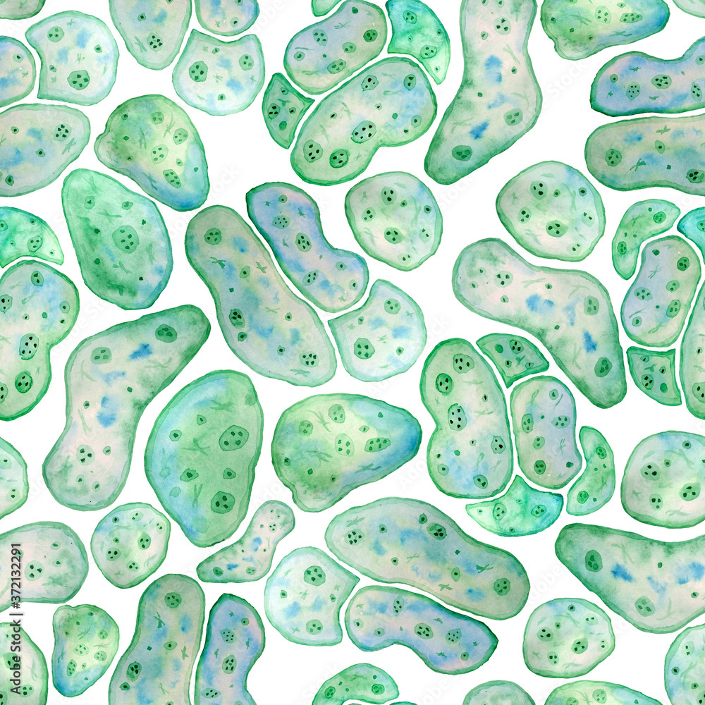 Seamless pattern of unicellular green blue algae chlorella spirulina ...