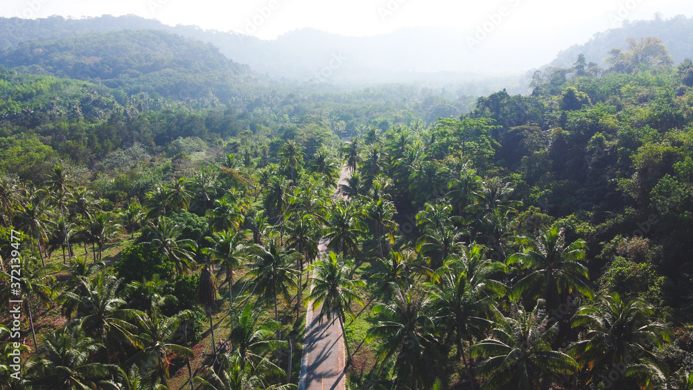 Coconut trees and the sky. Relaxing at the sea. Coconut trees and the ...
