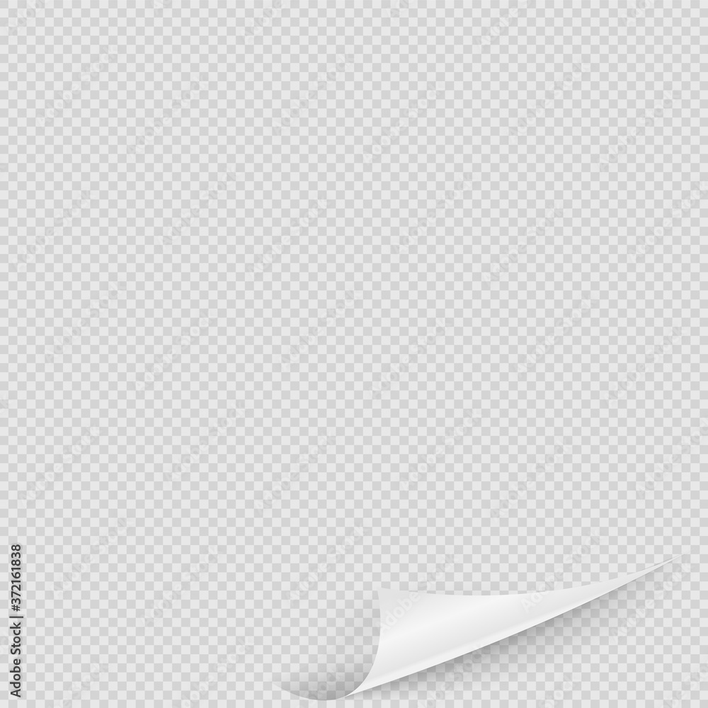 Page corner. Realistic transparent curly page corner with shadow on ...