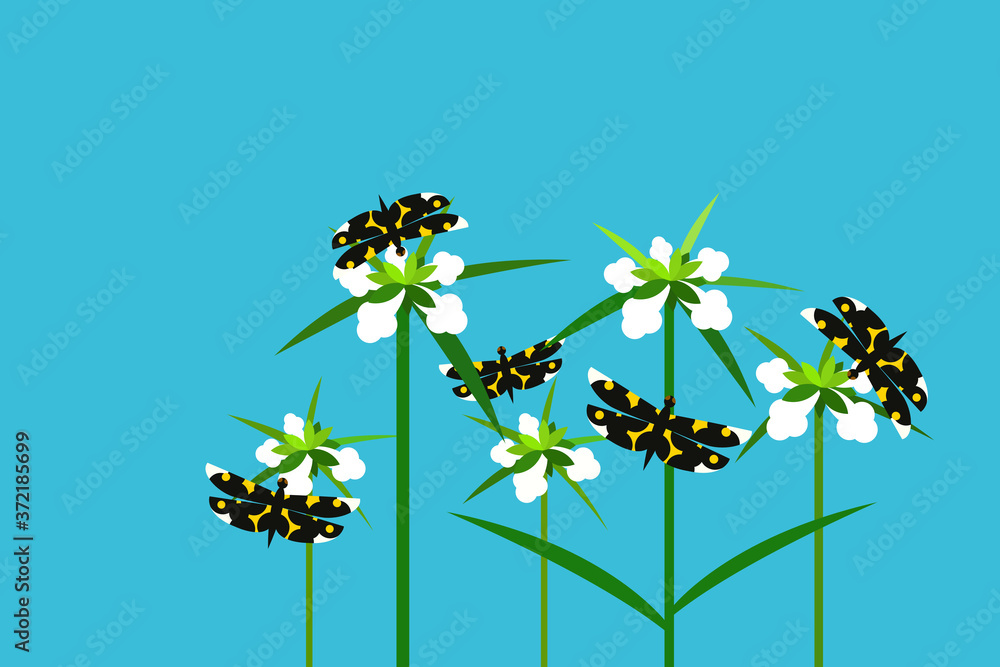 Dragon flies sitting on Leucas slitwort flower locally called ...