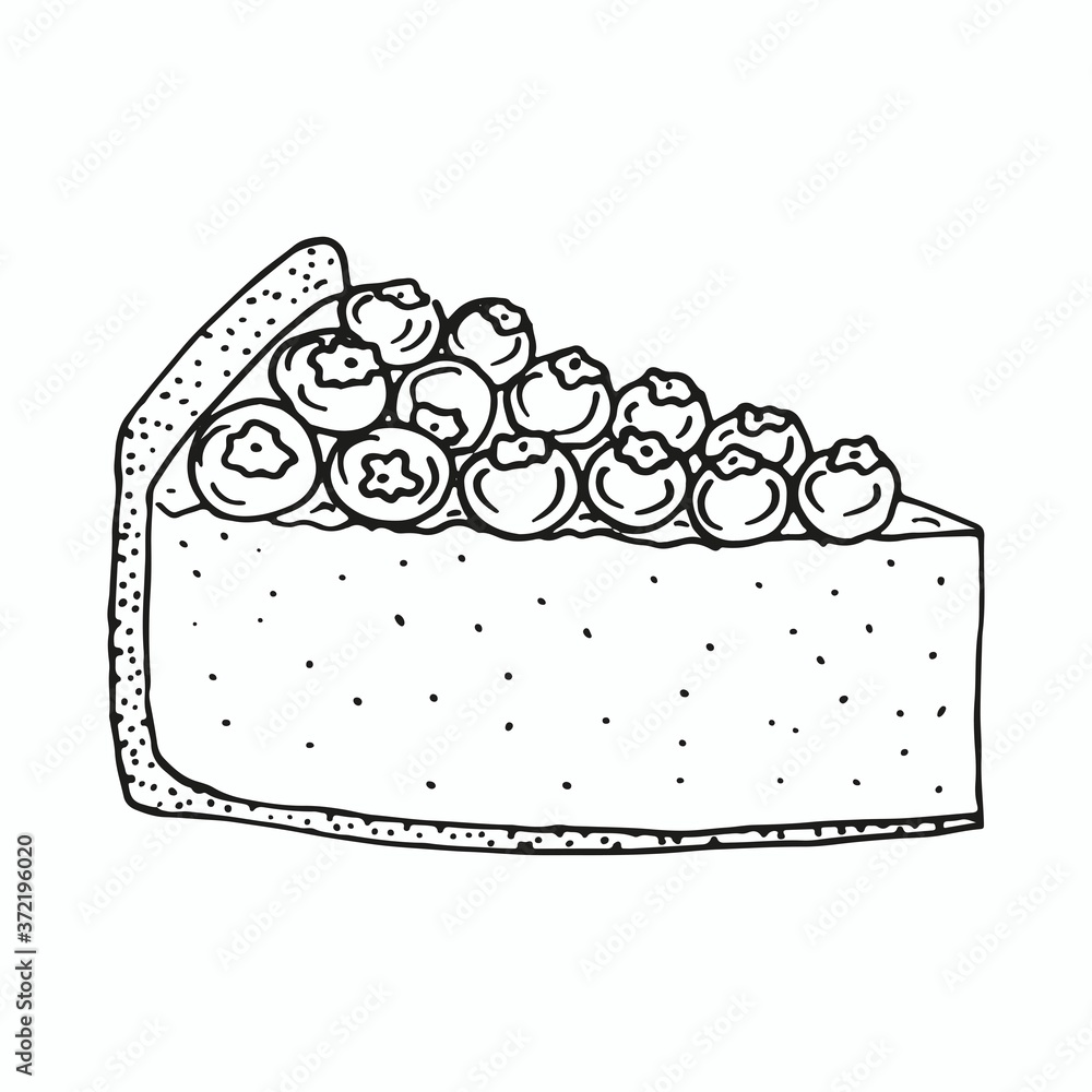 Cheesecake piece with blueberry isolated on white background. Tasty ...