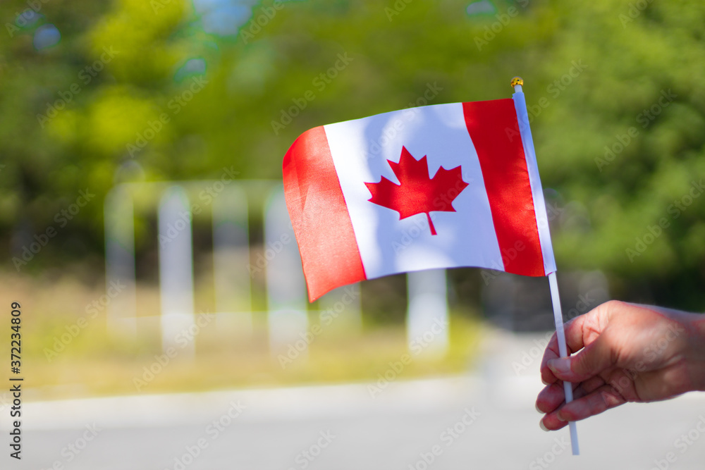 Human hand holding canadian flag to celebrate the canada day holiday ...
