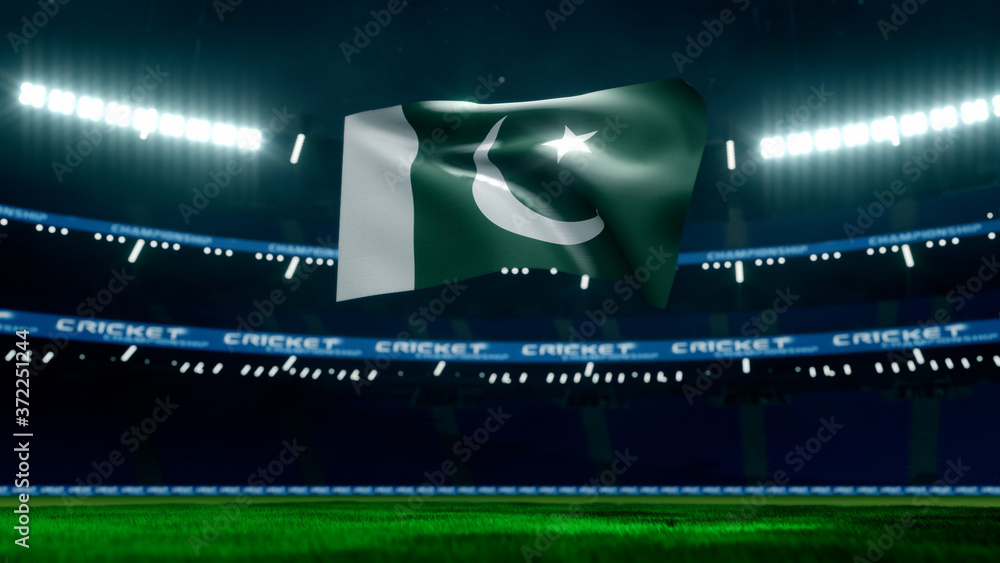 Pakistan flag in cricket stadium Stock Illustration | Adobe Stock
