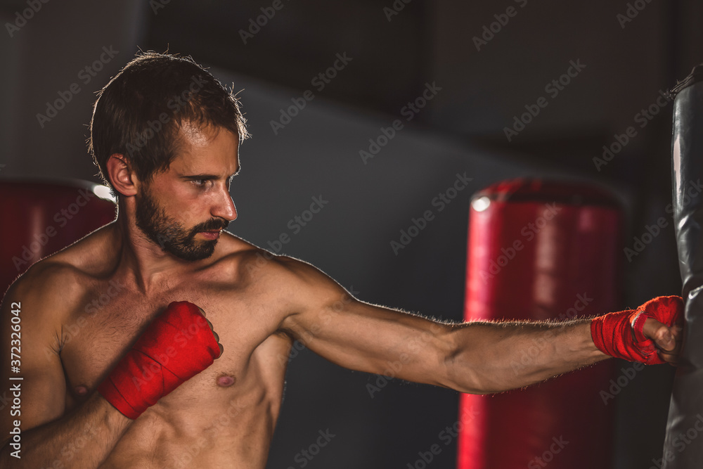 Kickboxer trains in the gym pulling punches on the stingball. Stock ...