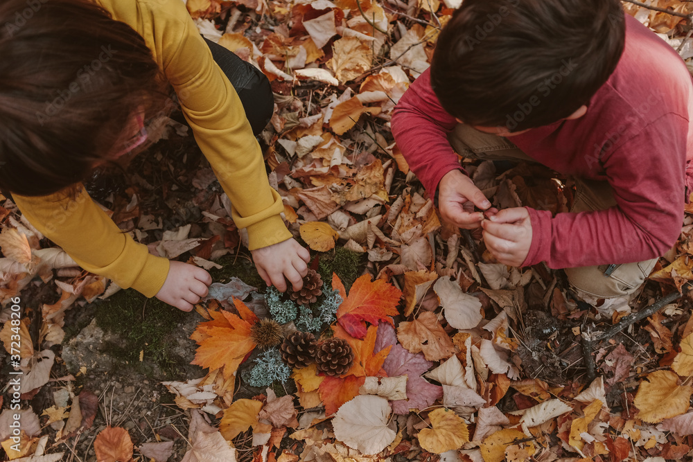 Kids playing in the woods Stock Photo | Adobe Stock